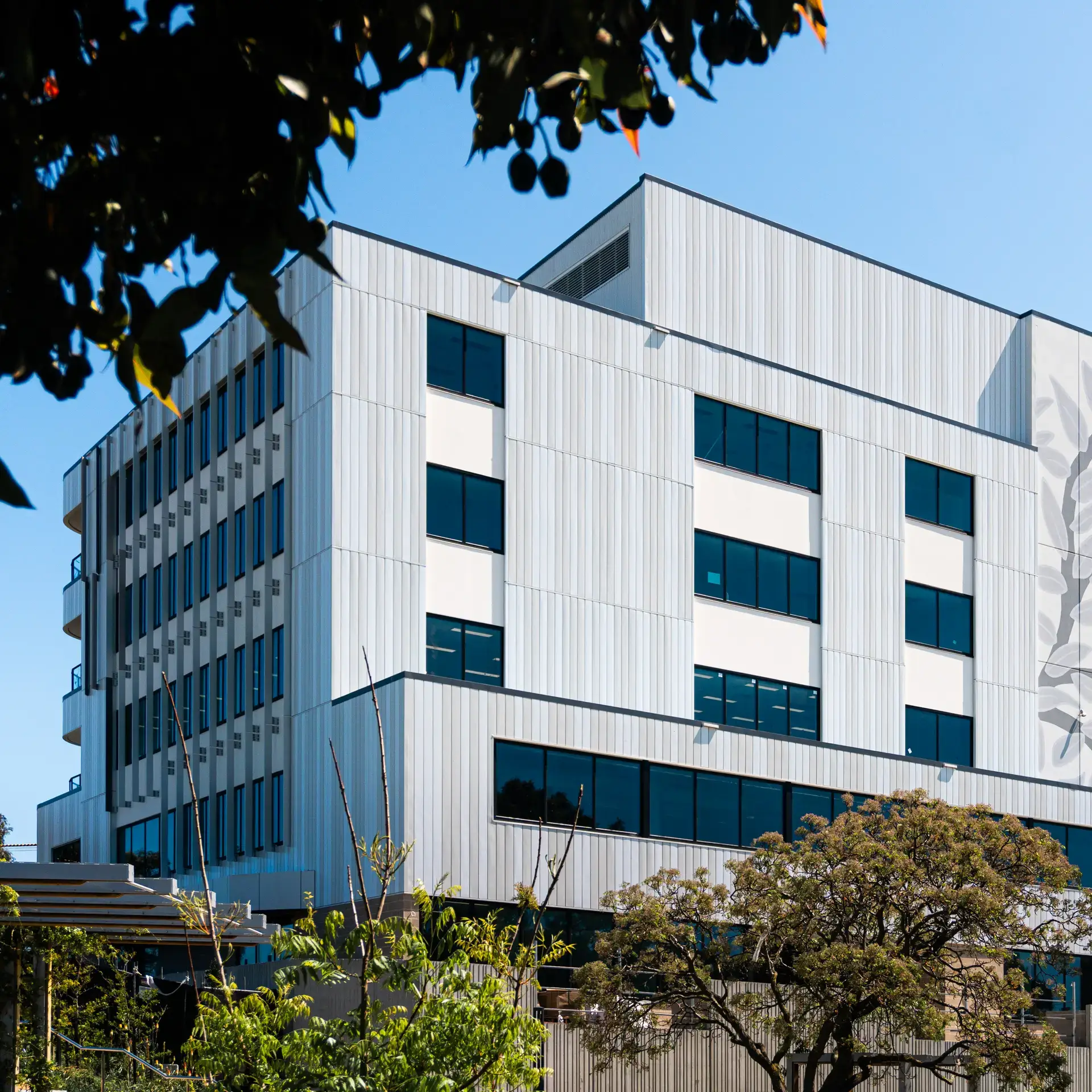 Colorbond Steel - Custom Clad